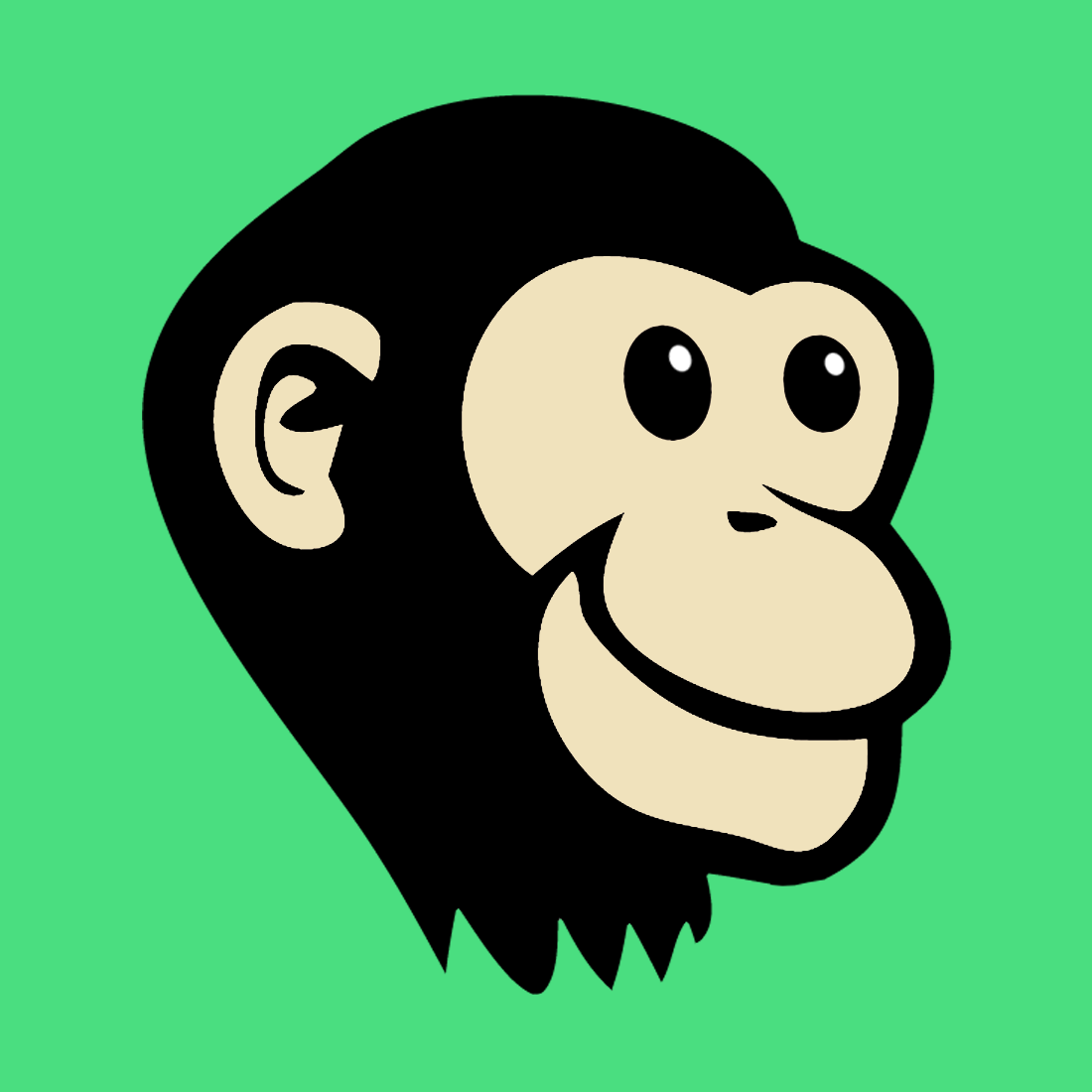 Photon Multi-Chain Platform: Setup & Features | Entry.fun